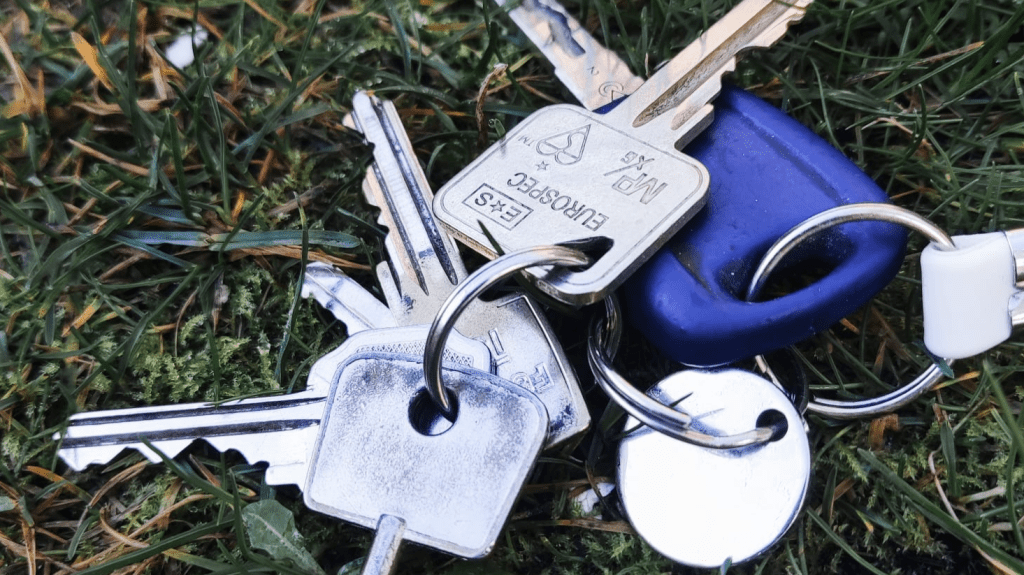 Mortice Locks dead lock or sash lock – Pip Lockout Locksmith